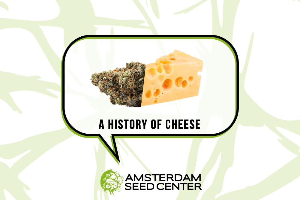 Blog - A Short History of The Cheese Strain, and our Top 5 Cheese Picks