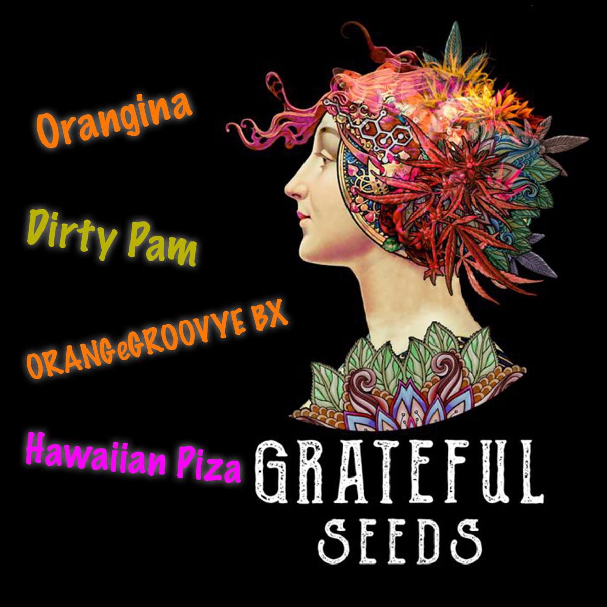 Blog - Neue Sorten von Paradise Seeds