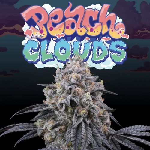 peach clouds