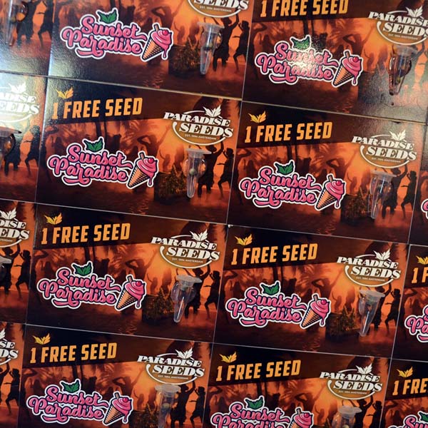 Free Promotions - Free Cannabis Seeds