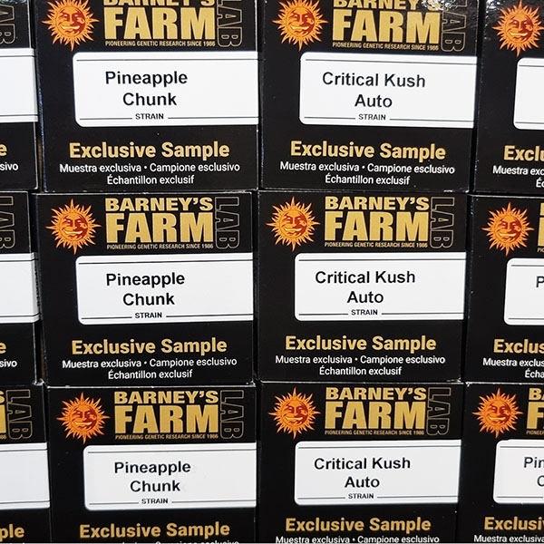 Free Promotions - Free Cannabis Seeds