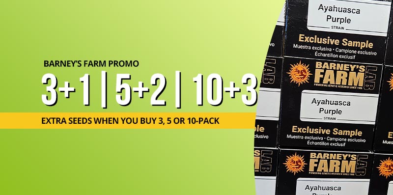 Free Promotions - Free Cannabis Seeds