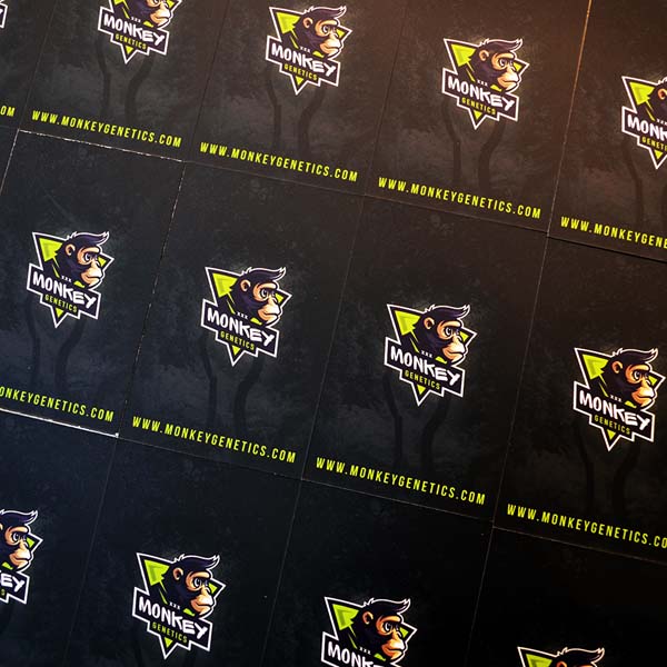 Free Promotions - Free Cannabis Seeds