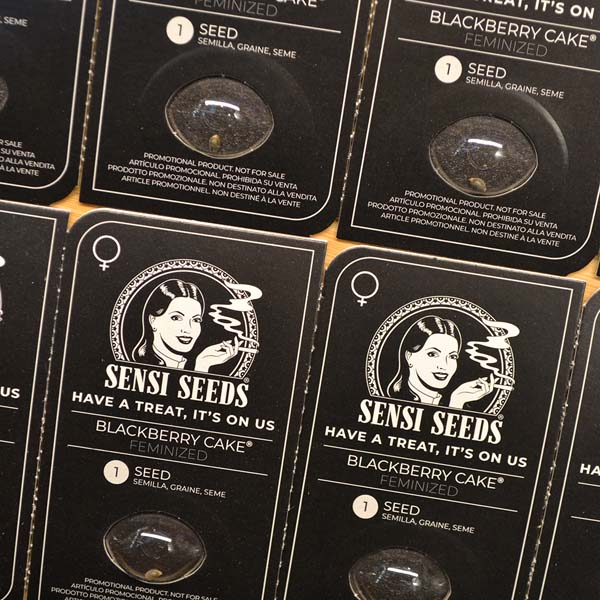 Free Promotions - Free Cannabis Seeds