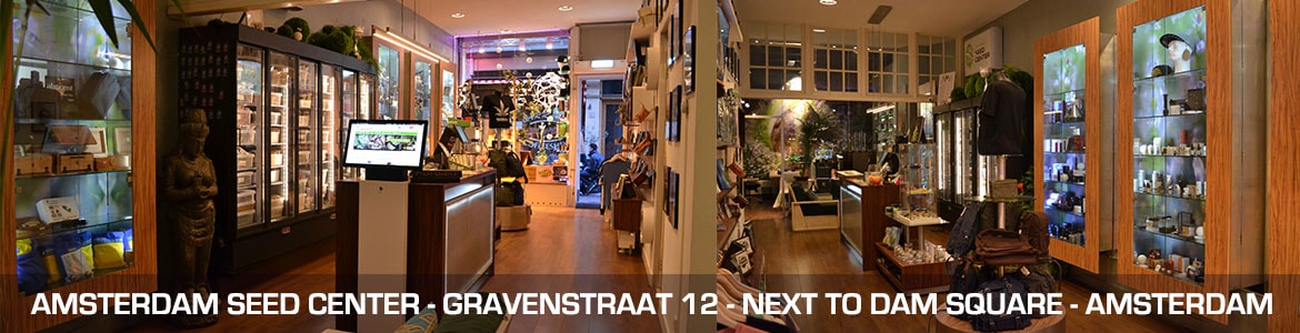 About Amsterdam Seed Center