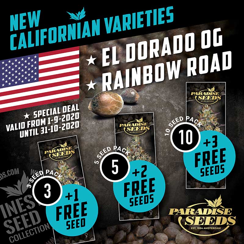 Free Cannabis Seed Promos