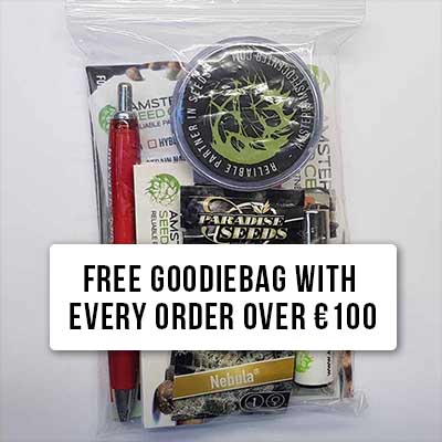 Amsterdam Seed Center | Cannabis Seed Shop