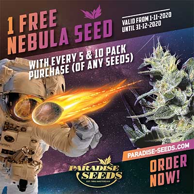 Amsterdam Seed Center | Cannabis Seed Shop